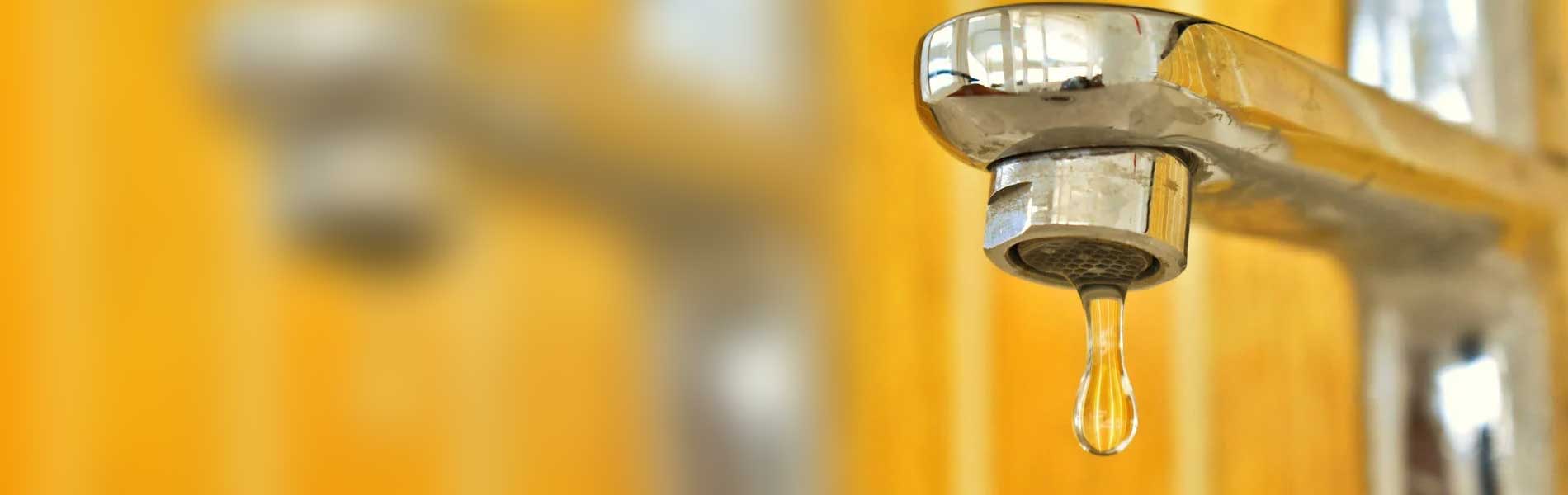 Blog - Knee Deep Plumbing